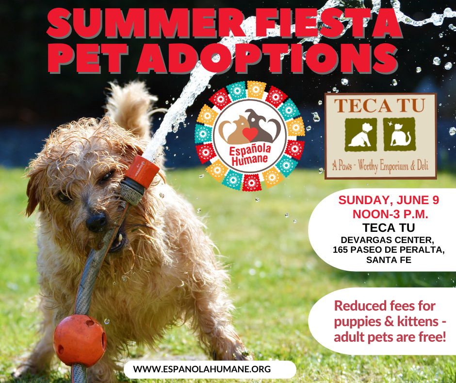 Teca Tu hosts Sunday adoption event - Espanola Humane