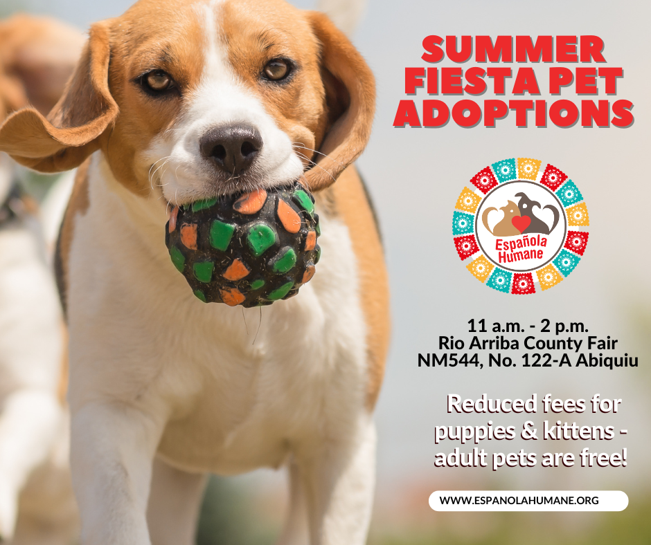 Española Humane cancels adoption event at County Fair - Espanola Humane