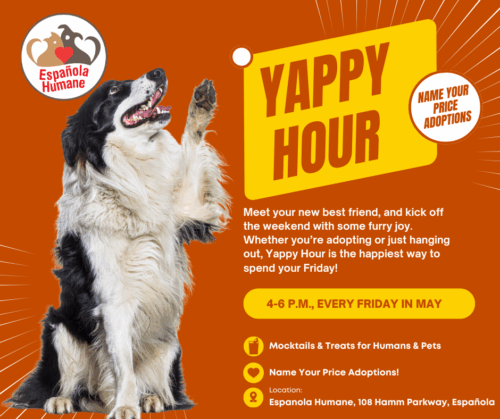 Yappy Hour at the Shelter - Espanola Humane