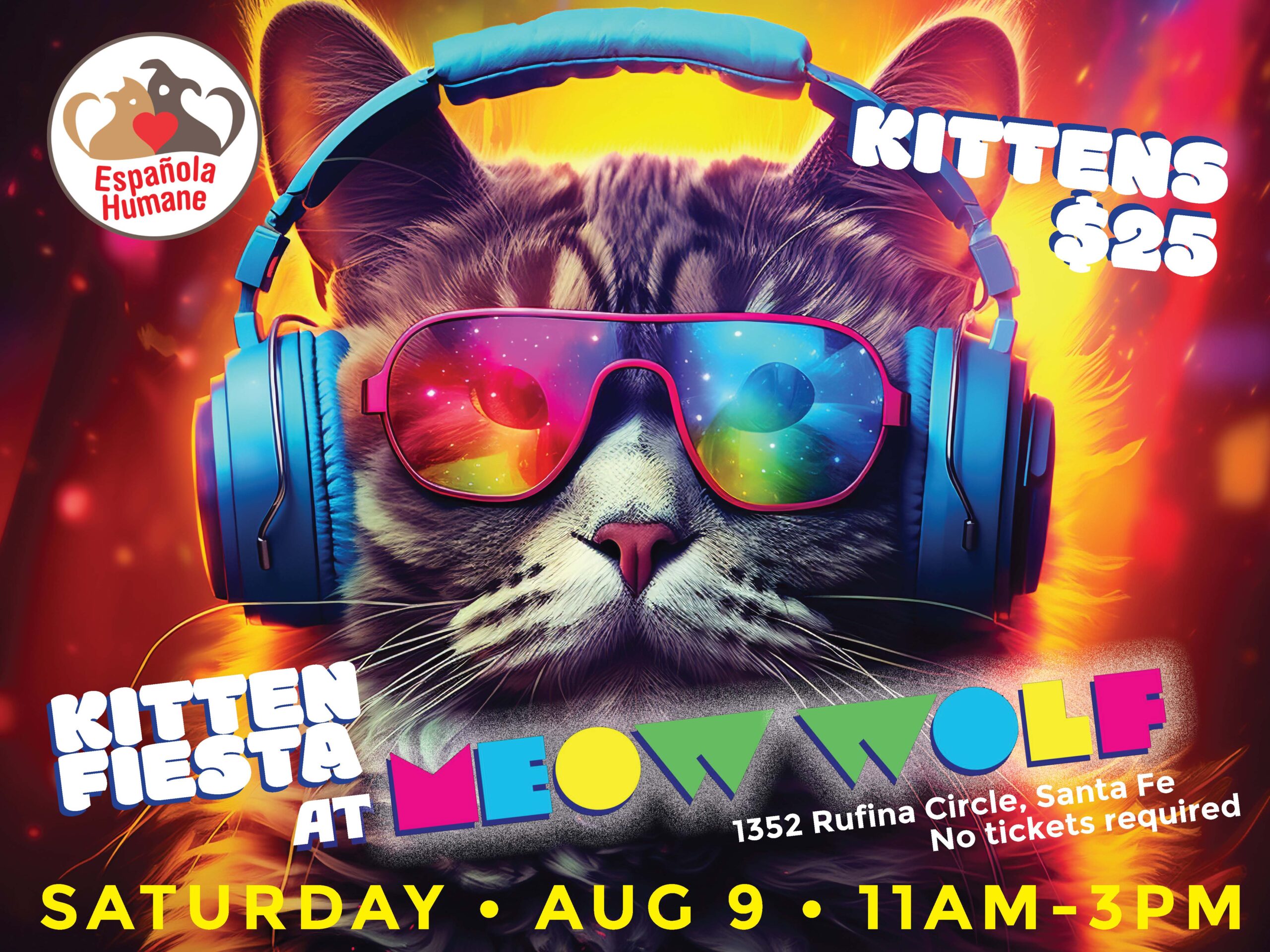 Meow Wolf hosts kitten fiesta adoption event - Espanola Humane
