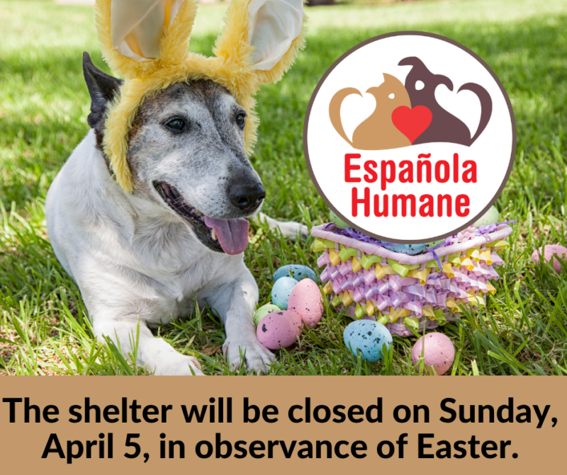 Shelter closed Sunday for Easter - Espanola Humane